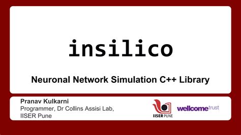 Insilico Neuronal Network Simulation C Library Pdf