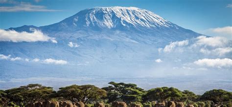 About The Name Kilimanjaro Who Named It What Does It Mean And How Did