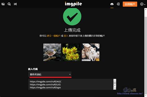 ImgPile 免費圖片儲存 共享服務單檔 100MB 無限容量不砍檔可直連