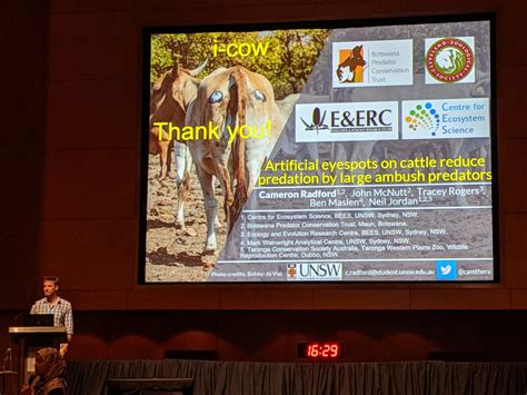 Lingyun Xiao Xiao Lingyun Twitter