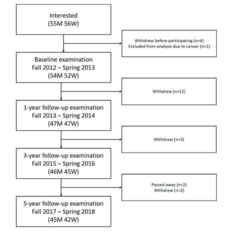 Flowchart Of Inclusion And Attrition M Men W Women Download Scientific Diagram