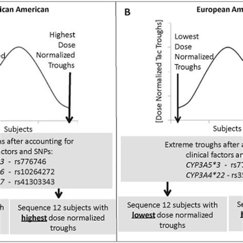 Variant Effect Predictor VEP Results Based On Genetic Variants Download Scientific Diagram