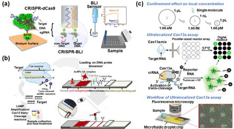 Crispr Cas Based Fluorescent Colorimetric Nanobiosensors A Schematic Download Scientific
