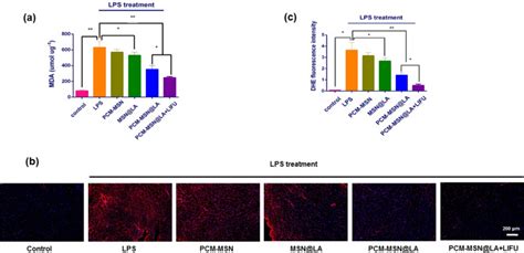Heart Targeted Amelioration Of Sepsis Induced Myocardial Dysfunction By