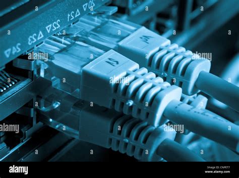 Network Cables Connected To Hub Stock Photo Alamy