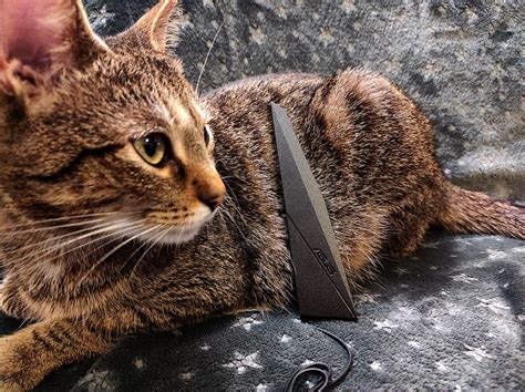 Asus Tuf Gaming B M Btf Wifi Motherboard Review Root Nation Com