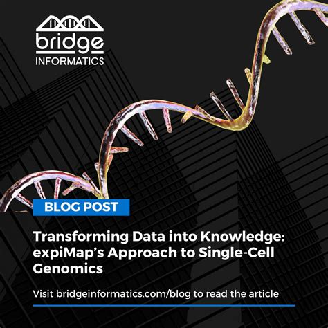 Bridge Informatics On Linkedin Scrnaseq Deeplearning Ai Bioinformatics Genomics
