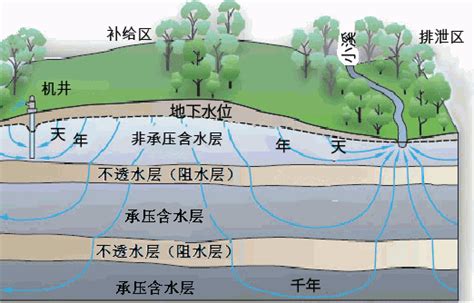 The Water Cycle Chinese 水循环