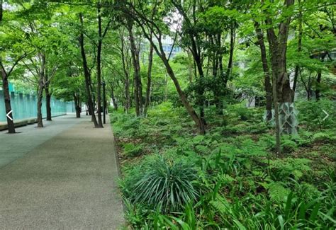 도쿄 녹지 찾은 오세훈 이게 녹지생태도심…서울 대개조 연합뉴스