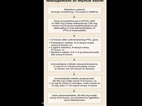 Hyperthyroidism During Pregnancy Pdf
