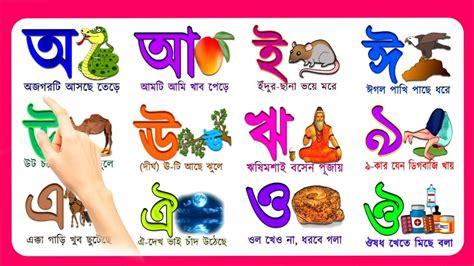 অ অজগর আসছে তেড়ে আ আমটি আমি খাব পেড়ে ই ইঁদুর ছানা ভয়ে মরে অআইঈউঊ Bangla Bornomala