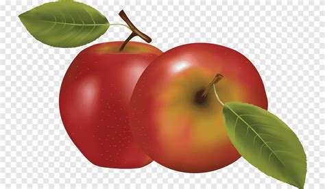 사과 사과 자연 식품 이미지 파일 형식 Png Pngegg