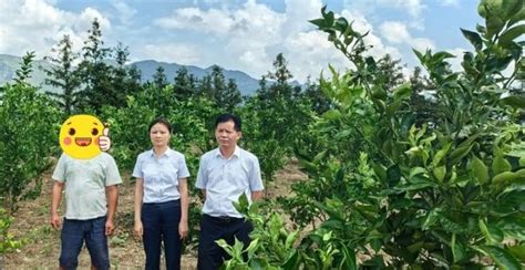 工行晴隆支行：普惠金融绘就良“橙”美景腾讯新闻