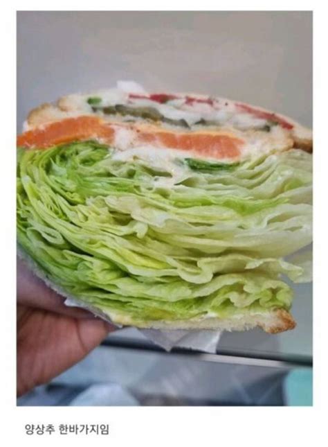 호불호 갈리는 샌드위치 스타일이래 인스티즈instiz 일상 카테고리