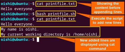 How To Append To File In Bash Methods LinuxSimply