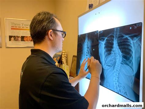 Arc Of Life Chiropractic Singapore At Orchard Road