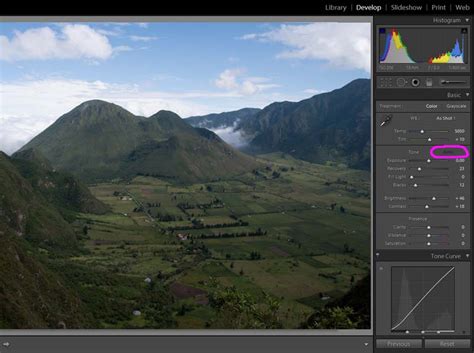 How To Use Digital Graduated Filter And Adjustment Brush To Revive Photos