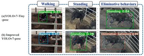 An Effective Yak Behavior Classification Model With Improved Yolo Pose
