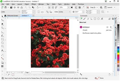 CorelDRAW Vs Photoshop 2023 Head To Head Comparison