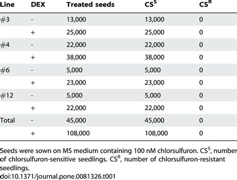 Selection Of Chlorsulfuron Resistant Selfed Progeny Of The Transgenic