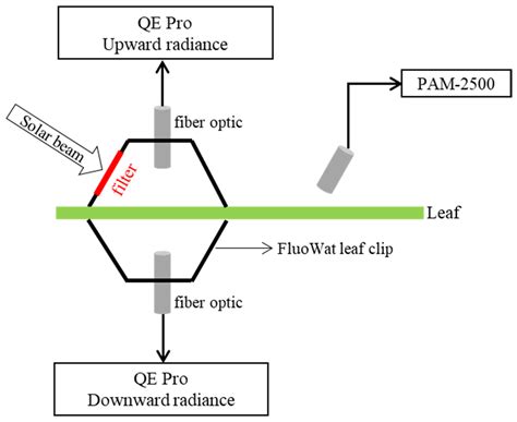 Exploring The Sensitivity Of Solar Induced Chlorophyll Fluorescence At