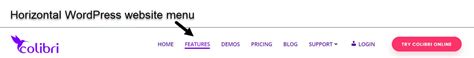 wordpress menus beginners guide tips and tricks