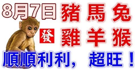 8月7日生肖運勢豬、馬、兔大吉