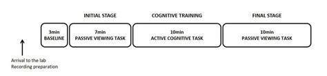 Schematic Diagram Of The Time Course Of The Experiment Procedure Eeg
