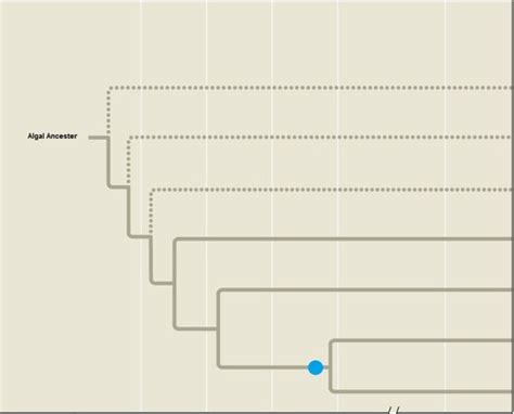 Biol 1202 S Pomarico Exam 2 Flashcards Quizlet