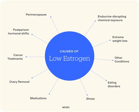 Low Estrogen Symptoms Top Causes And Treatments