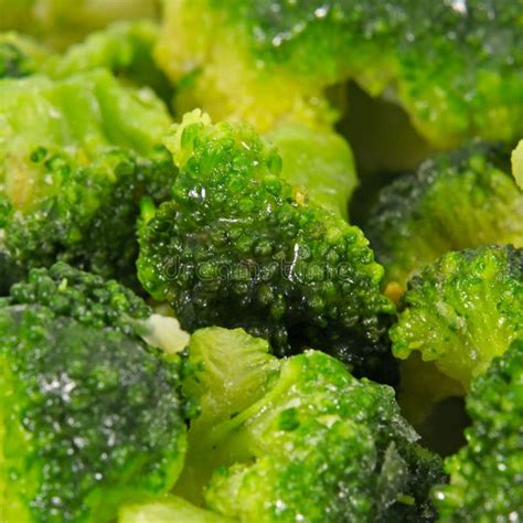 Frozen Broccoli For Cooking Stock Image Image Of Healthy Green 211004983
