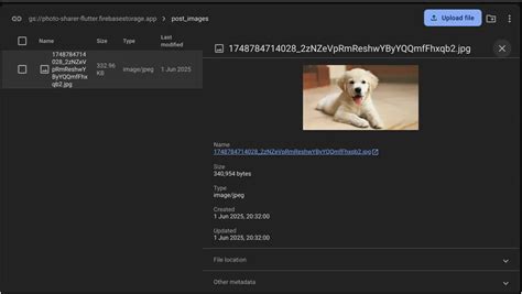 Flutter Firebase Tutorial Integrate Auth Firestore Storage