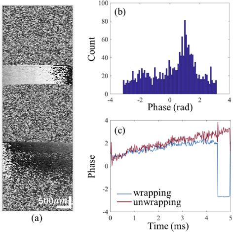 Phase Difference Estimation Within 5 Ms A The Phase Difference Image