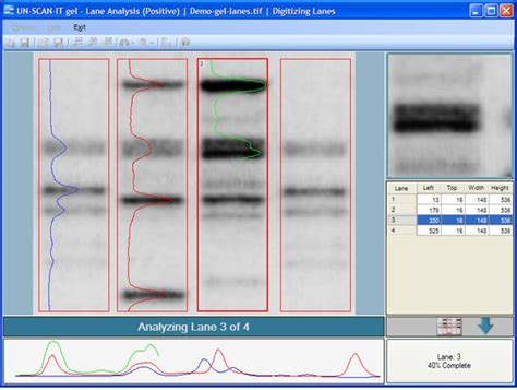 western blot quantification software