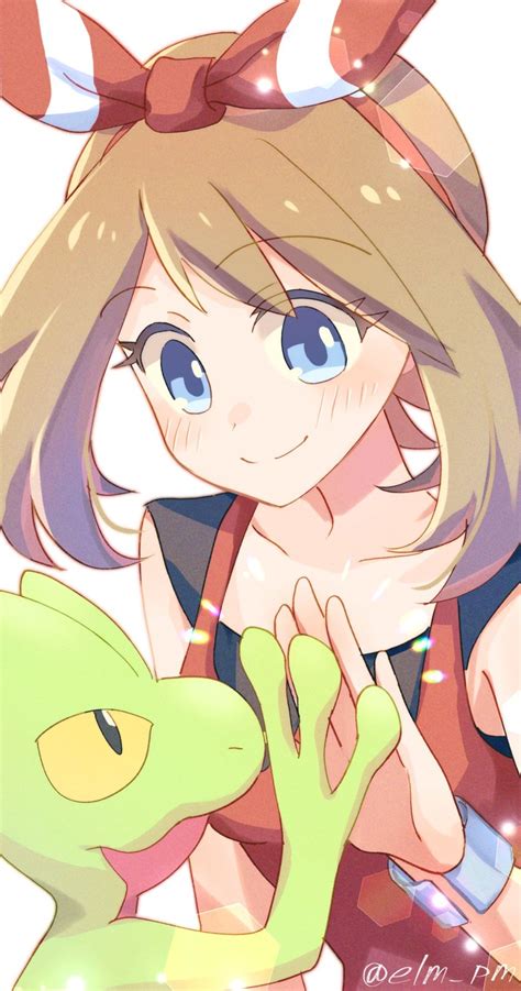 Nanashino 7shino Gs May Pokemon Treecko Nintendo Pokemon