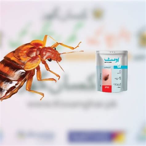 Omit 25wdg 24gm Khatmal K Liye Eco Pest Solution Bed Bugs House Fly