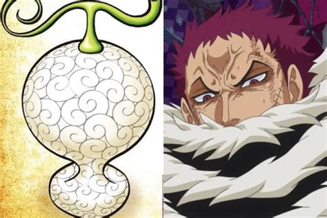 All 39 Devil Fruit Designs In One Piece Officially With Pictures 2023