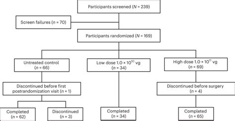 Participant Disposition Flow Chart Showing Pattern Of Participant Download Scientific Diagram