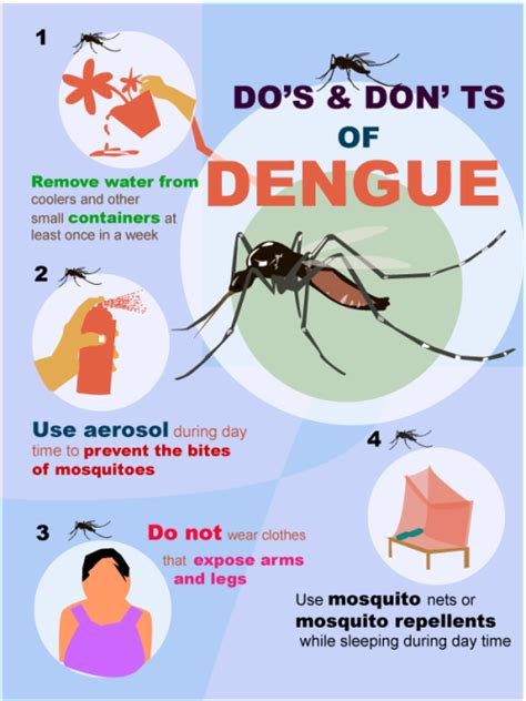 Penyakit Virus Zika Indonesia Re