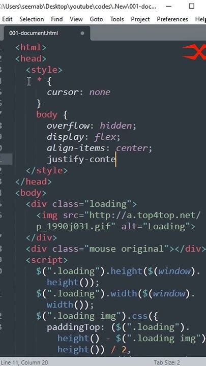 Best Programmer Turismo Codding Project Viral Videos Youtube