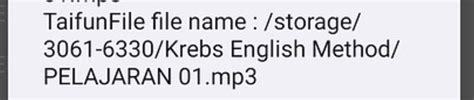 How Do I Get The Correct Path And File Name For Audio File MIT App Inventor Help MIT App