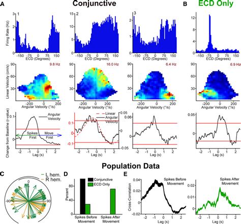 Conjunctive Cell Activity Anticipates Movement Toward The Cue While