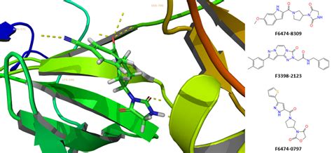 fes c fes tyrosine protein kinase targeted library kinase targeted