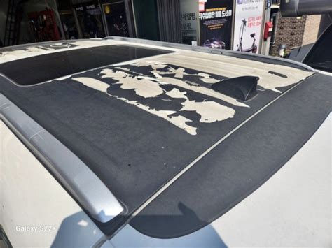 카니발 수명지난 루프스킨 재시공은 네이버 블로그