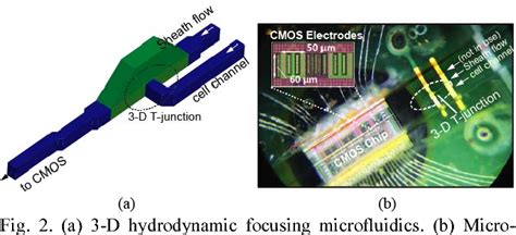 Figure 2 From A Cmos Single Cell Deformability Analysis Using 3d Hydrodynamic Stretching In A