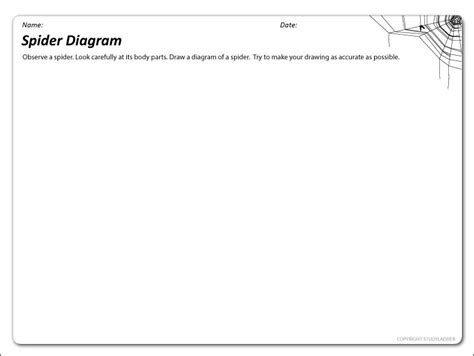 Spider Diagram Studyladder Interactive Learning Games