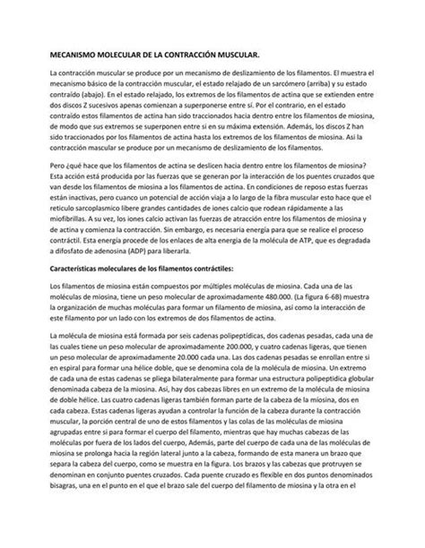 Mecanismo Molec Wps Office Sanshine Udocz