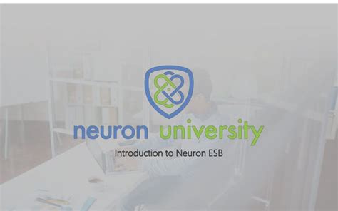 Introduction To Neuron Esb