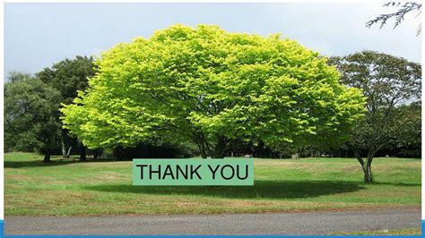 Ppt Centralized Processing Cell Tds Powerpoint Presentation Free