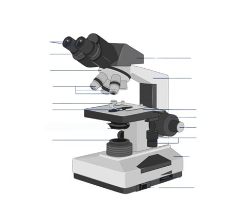 Biol 1413 Lab Final Review Diagram Quizlet